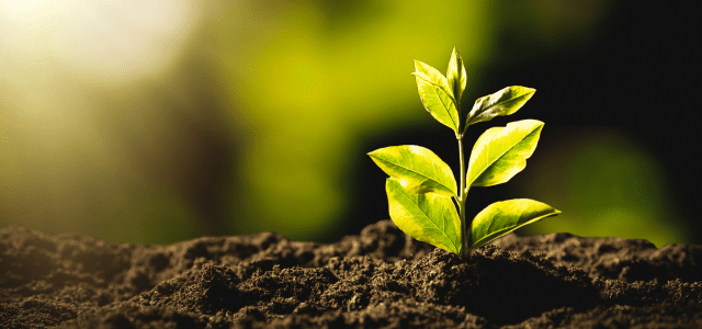 Segurança do Trabalho - engeseg